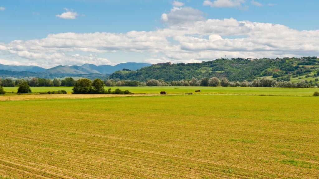 El relieve colombiano y sus formas - La profe Mónica
