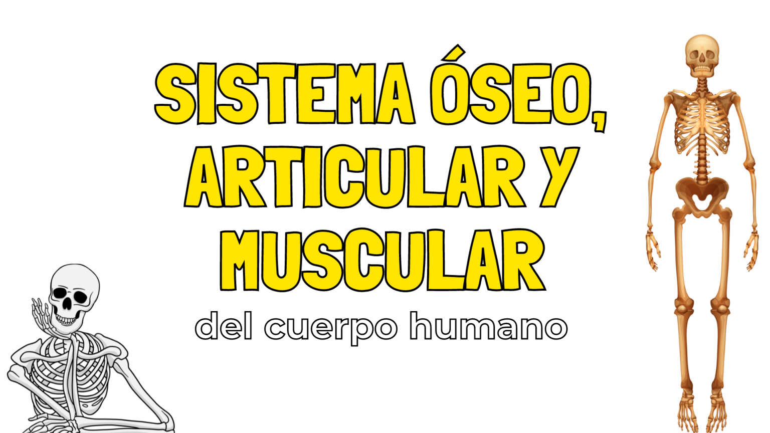 Sistema óseo, articular y muscular del cuerpo humano - La profe Mónica